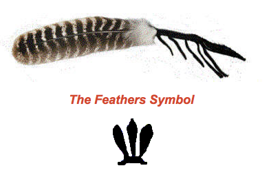 Feather Symbols | Eve Warren : A History of...
