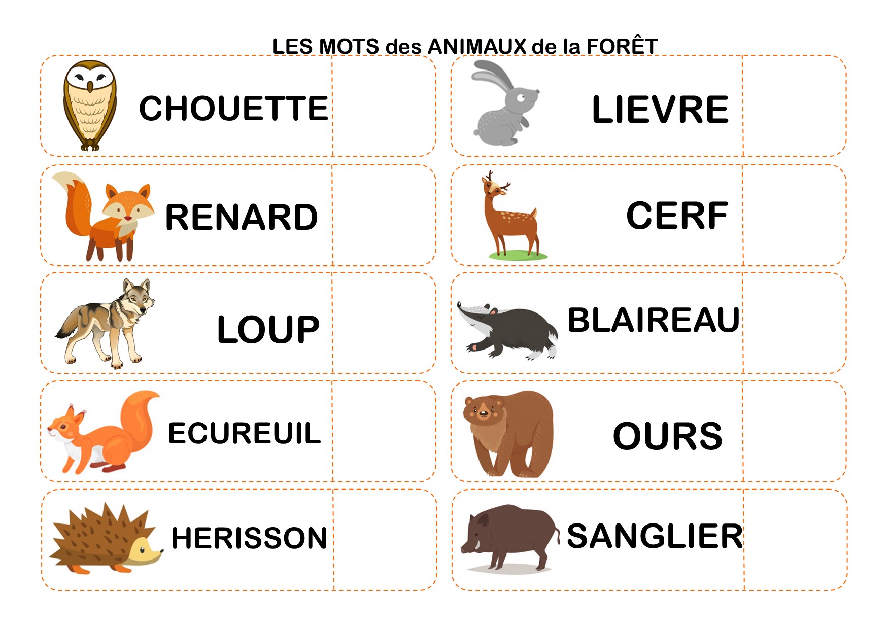 La classe du chat à lunettes: Avec les ours et les animaux de la forêt