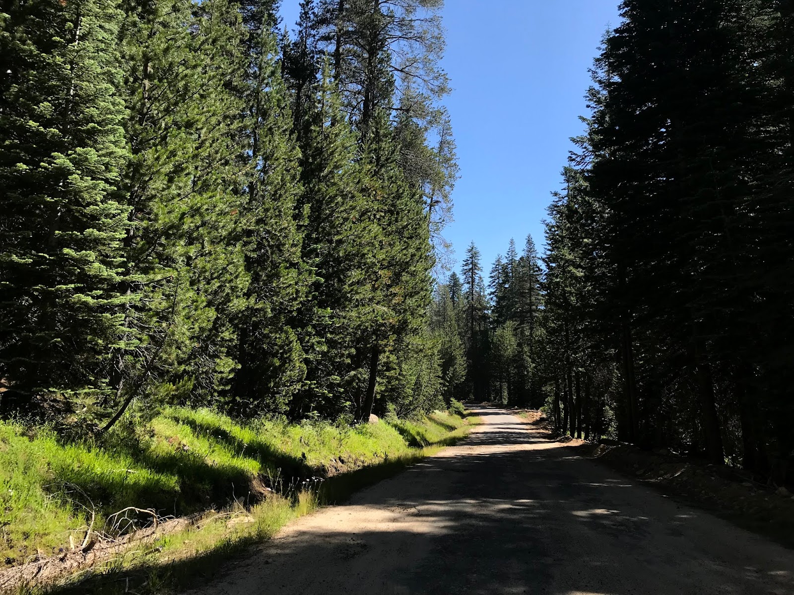 Sierra Vista Scenic Byway Part 2; a bumpy ride on Sierra National ...
