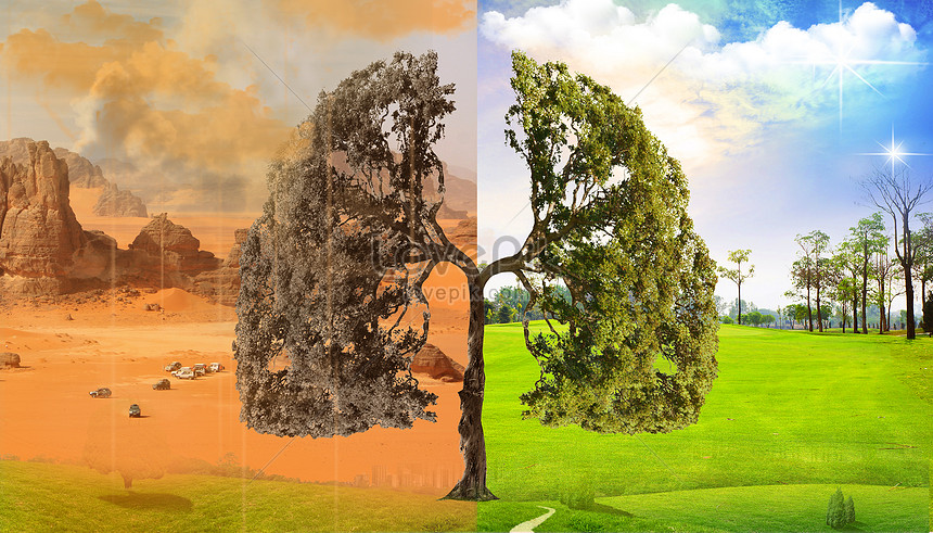 Pollution : Definition , reason and types. - D. C. Pant 💻