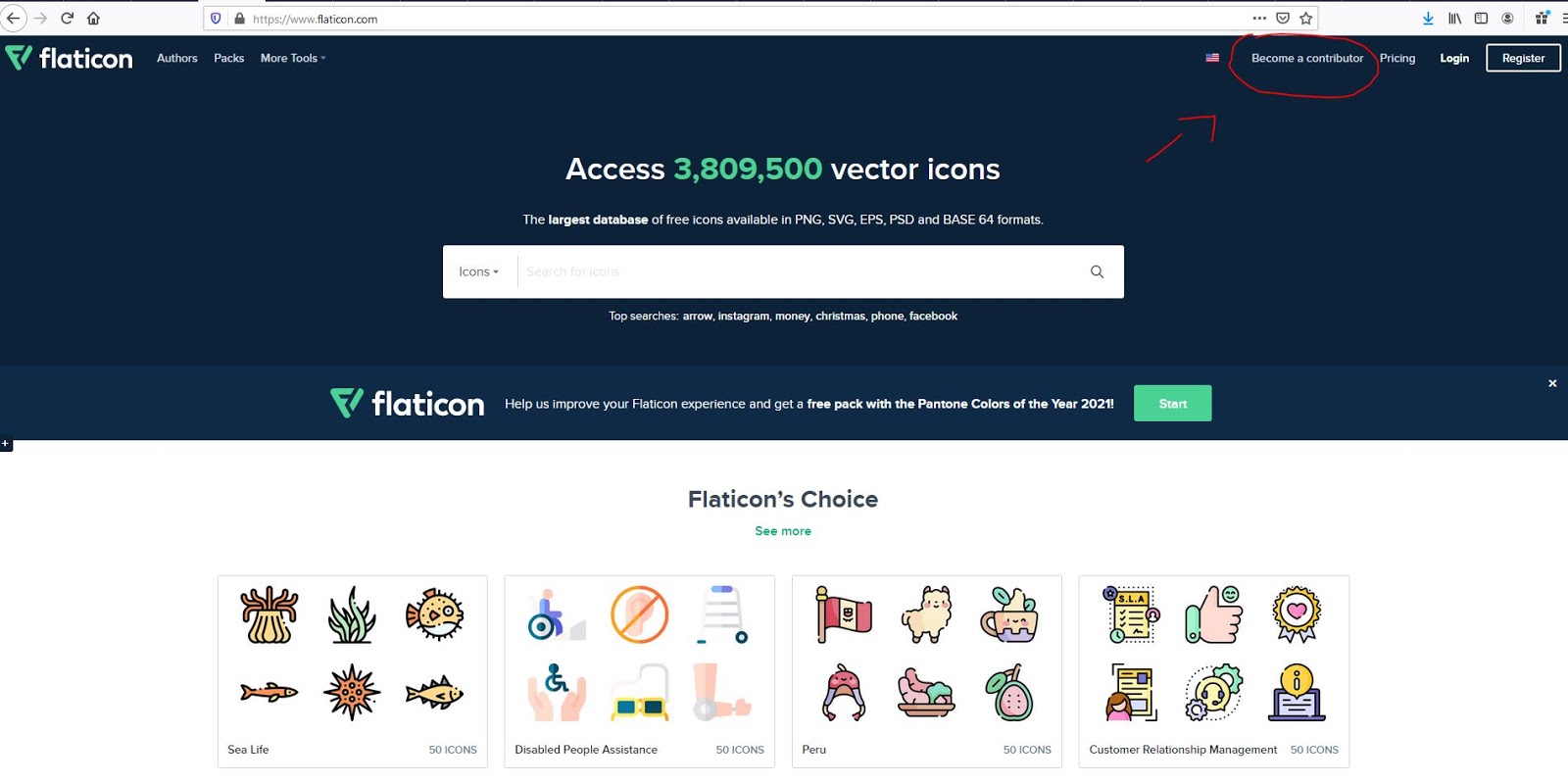 3 Situs Website Marketplace / Microstock Pilihan untuk Jualan Icon