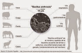 ANTRAX: descripción topografica