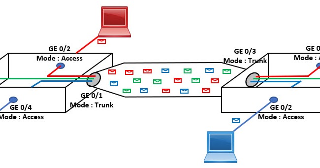 NETSOC: Understanding between Access Port and Trunk Port