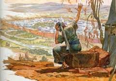 BlogIEP Integridade do Evangelho na Pregação: Botânica de Deus: Aboboreira