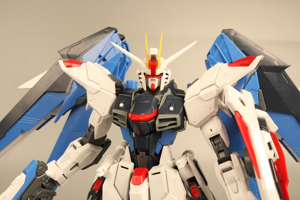 nu Type: Daban Model 6650 Freedom ver.2.0 (review)