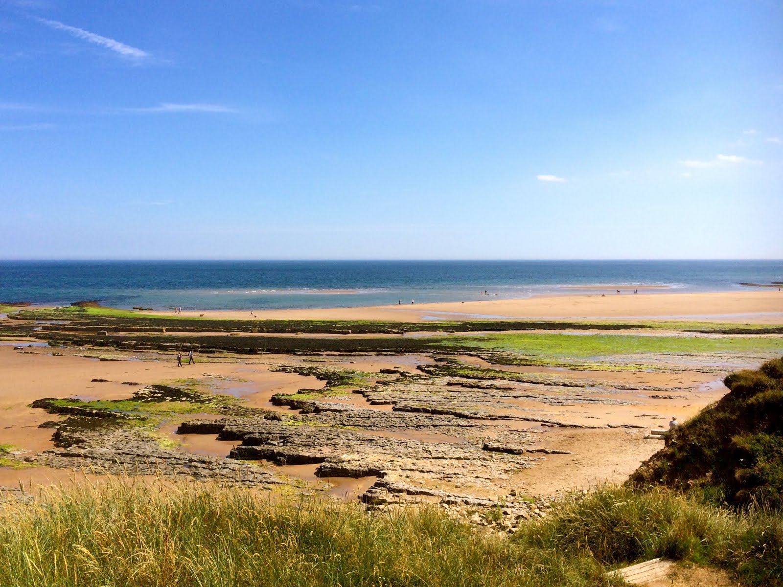 Days out in the Borders : Cocklawburn Beach
