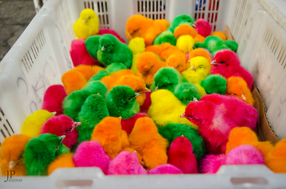 Pictures as Old as Time.: Brace yourselves chicks. Children are coming.