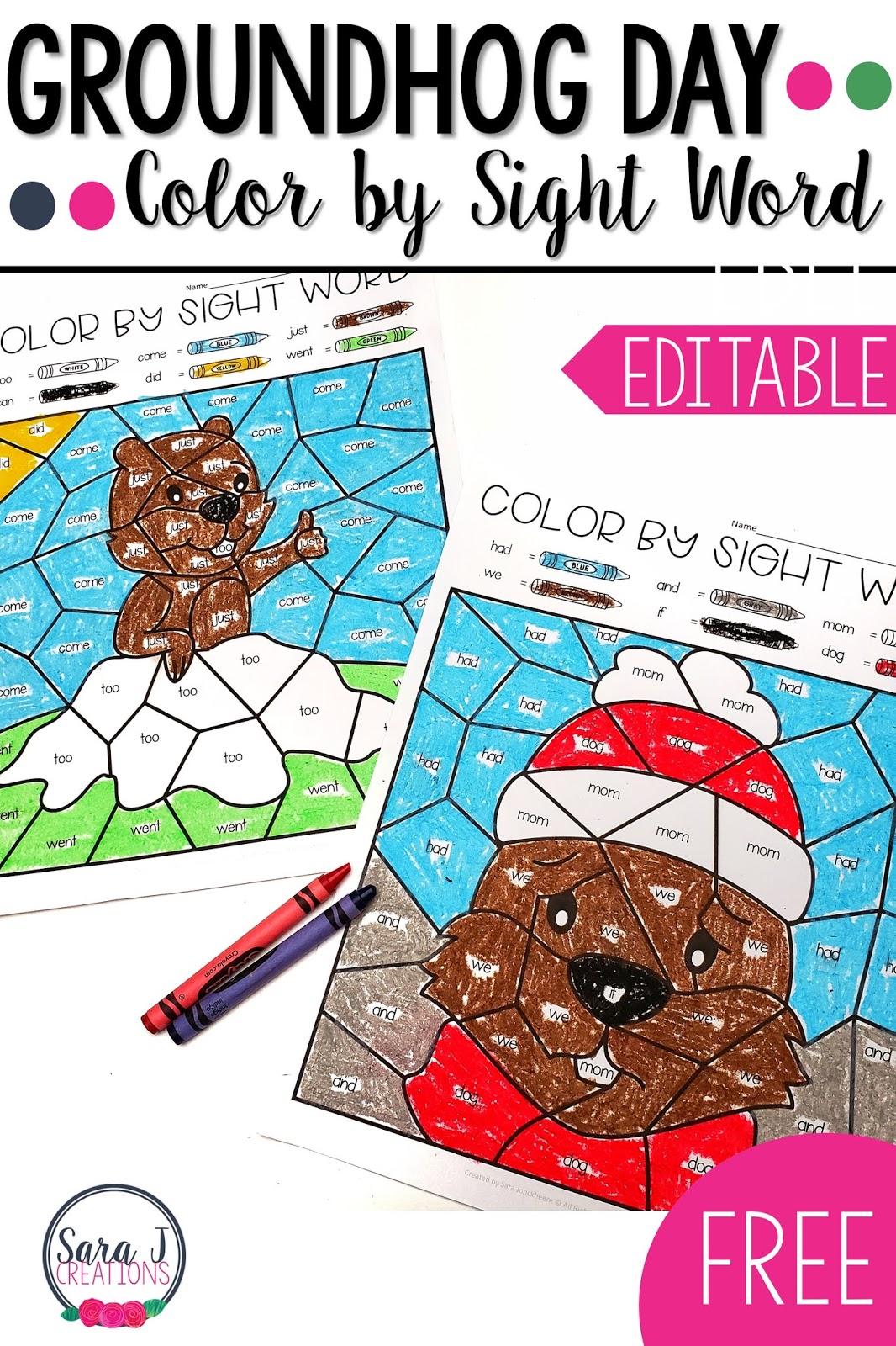 Free Groundhog Day Color by Sight Word Activities | Sara J Creations