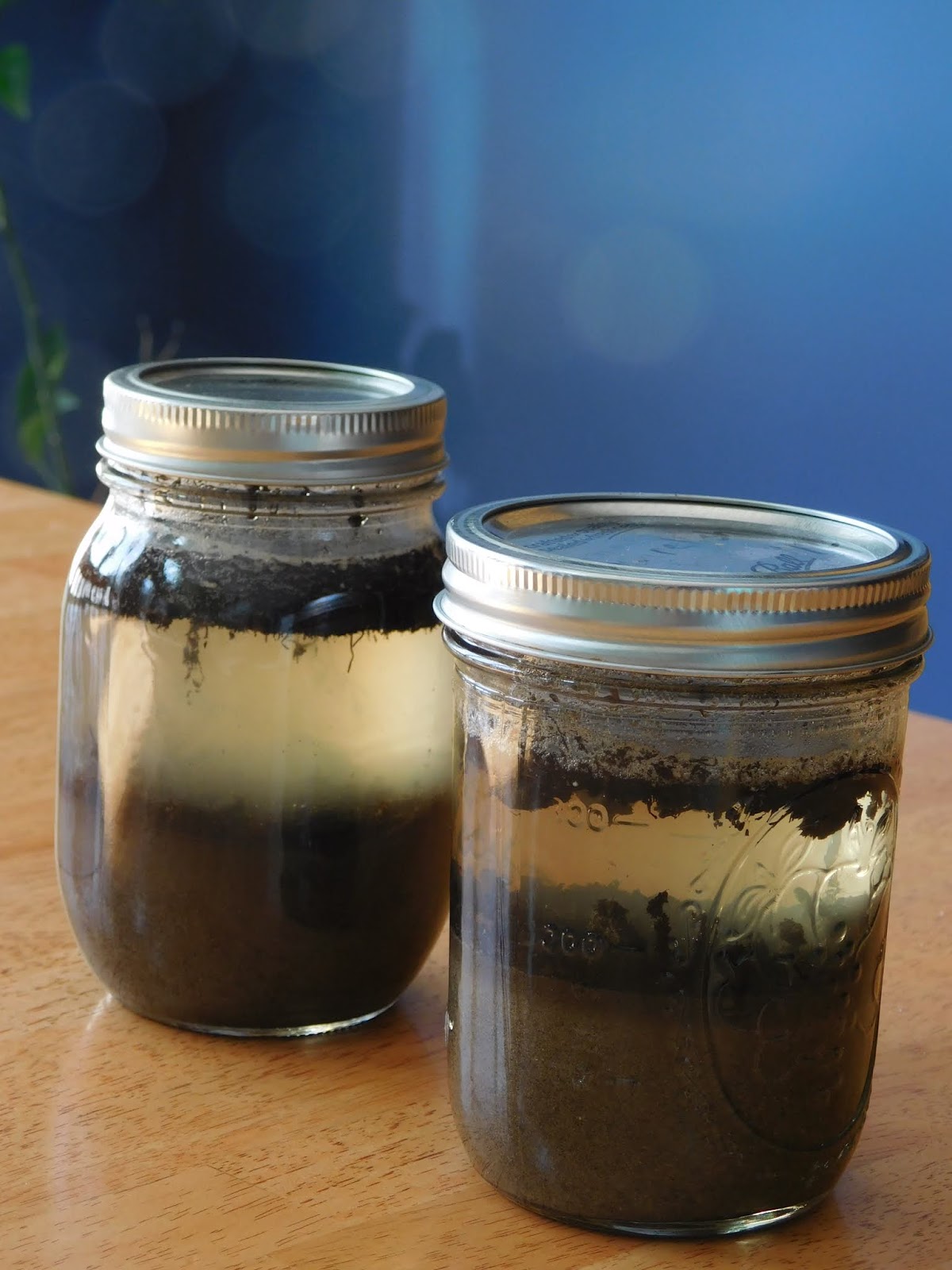 100 Days of Science #87-- Sediment Layer Jars