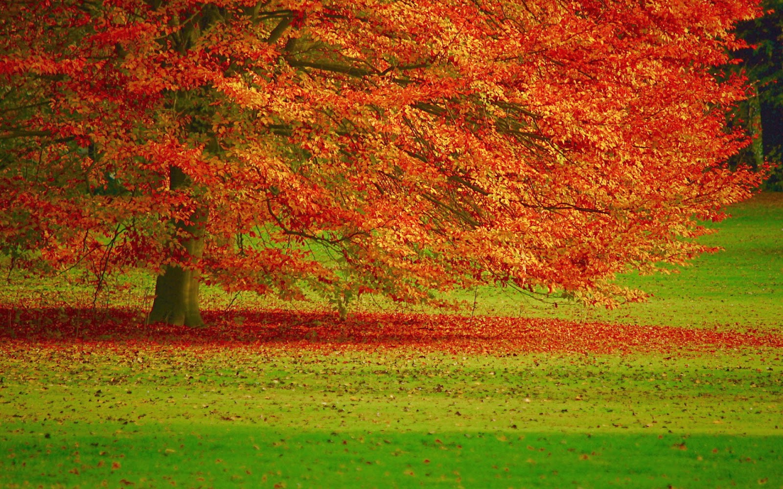 Atmarangoli: पतझड़ की शाम (Hai Yeh patjhad ki shaam sakhe)
