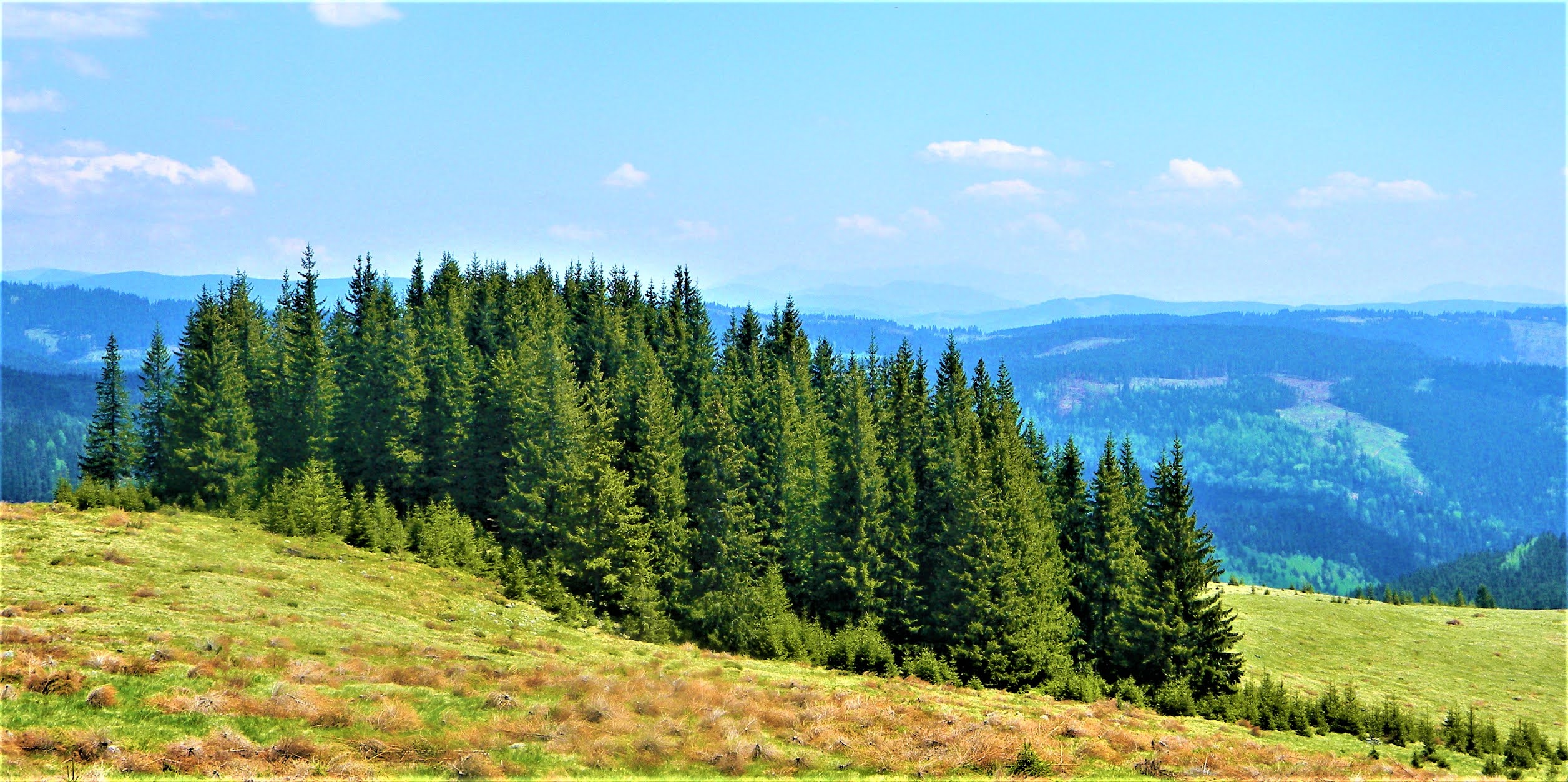 Traseu 6: Toplita - Lacul Iezer/Rezervatia Calimani (traseu off-road)