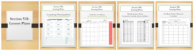 Encounters with Learning: What's In My Home School Binder?