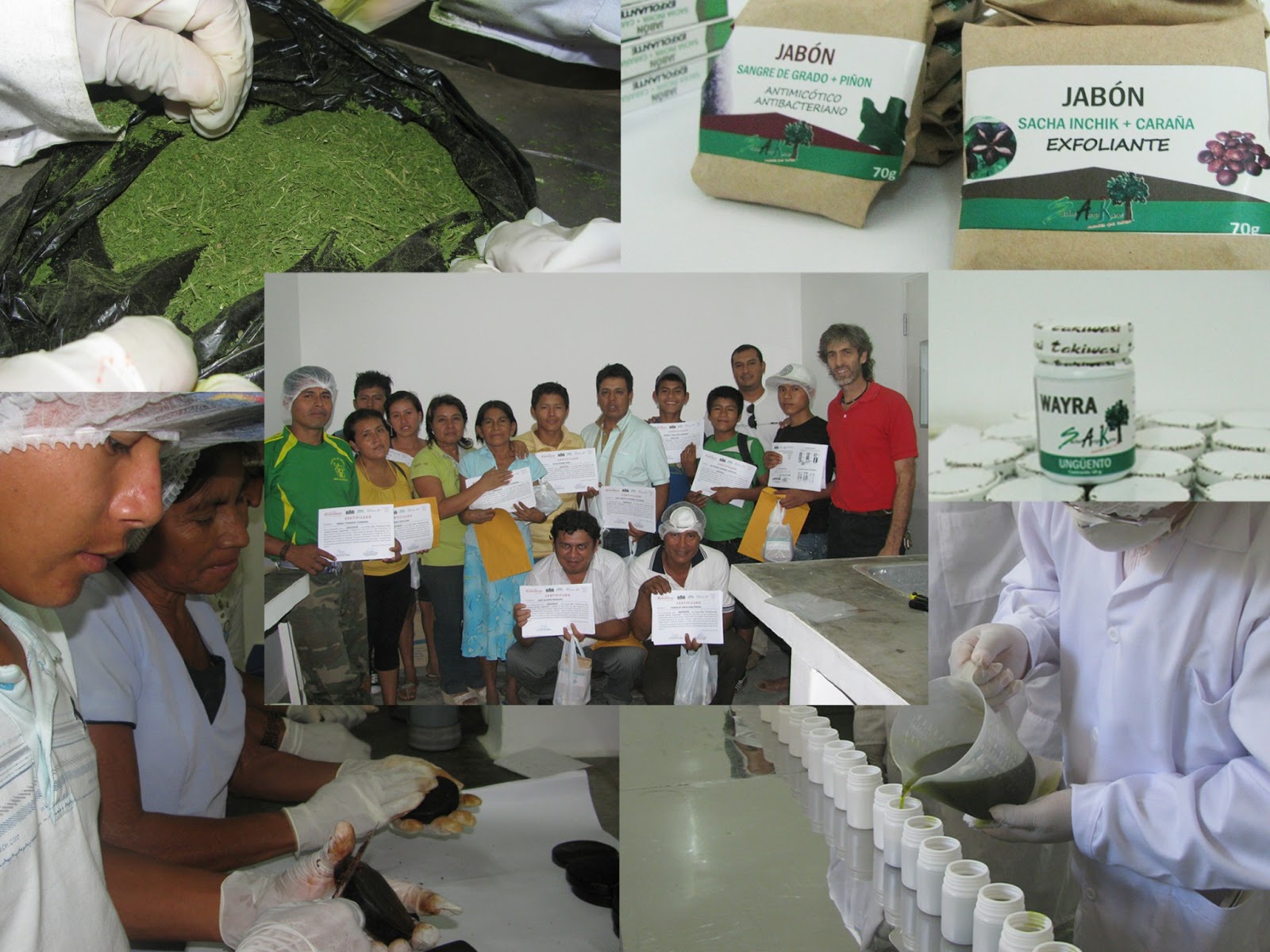 Proyecto Plantas Medicinales: De la Selva para su Salud