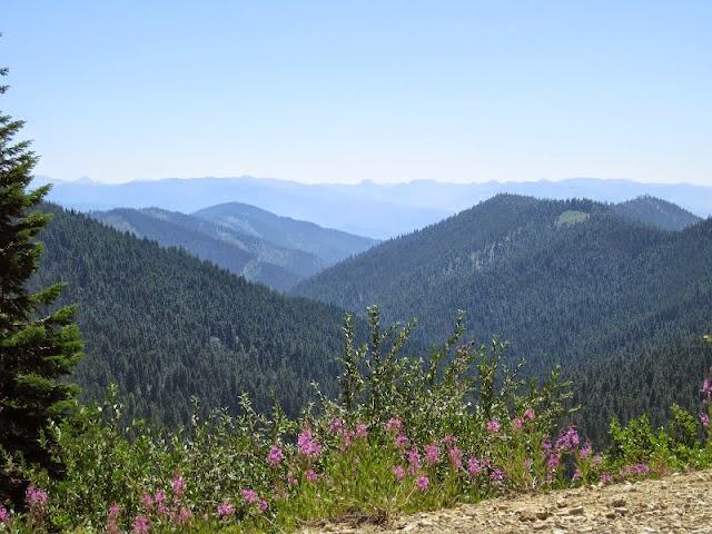 Hiking Sasquatch Country: 35 Tanner Mountain Summit Trail
