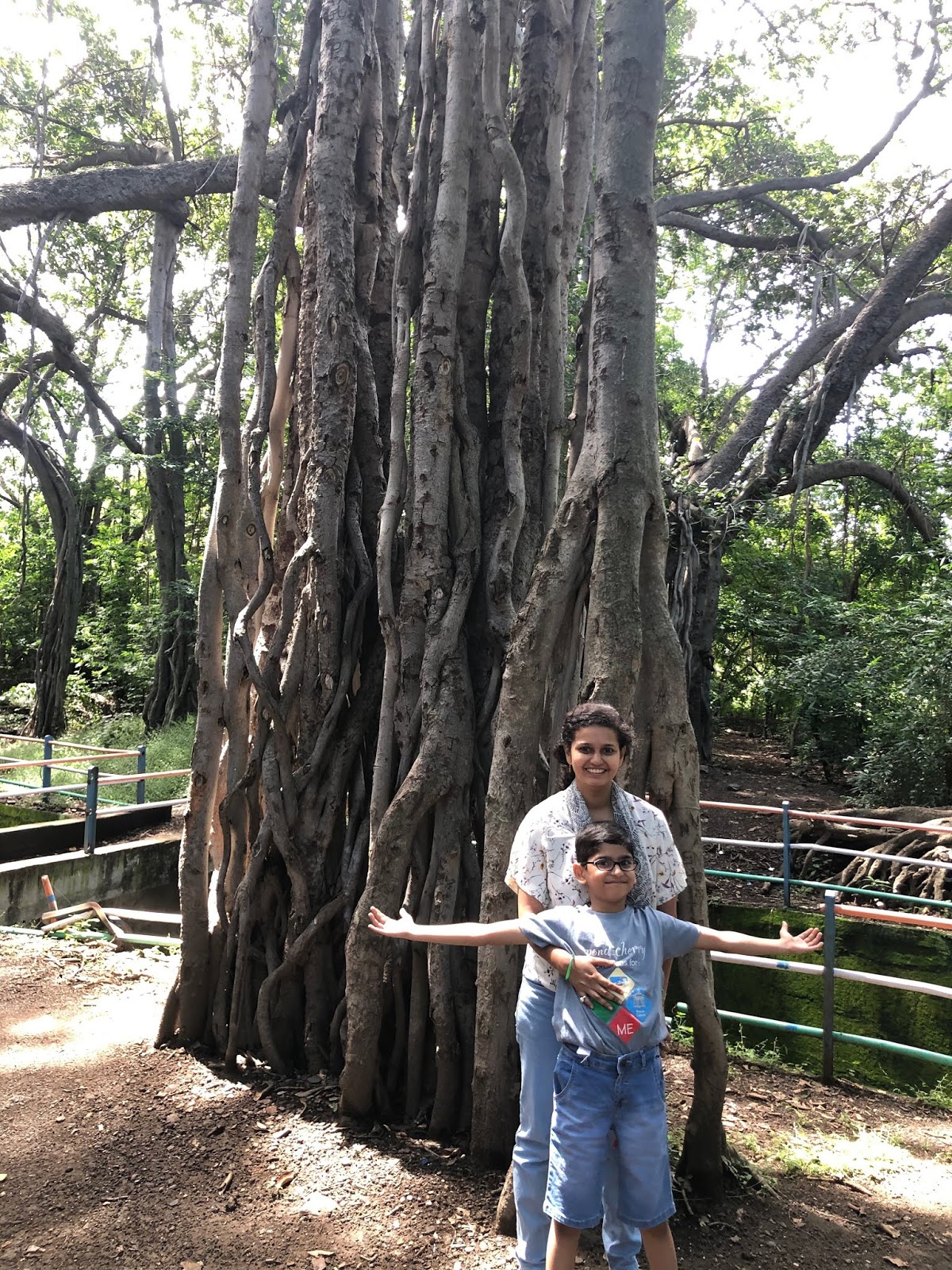 The Driving Addict: SUNDAY FAMILY DRIVE TO PEMGIRI - THE KING OF BANYAN ...
