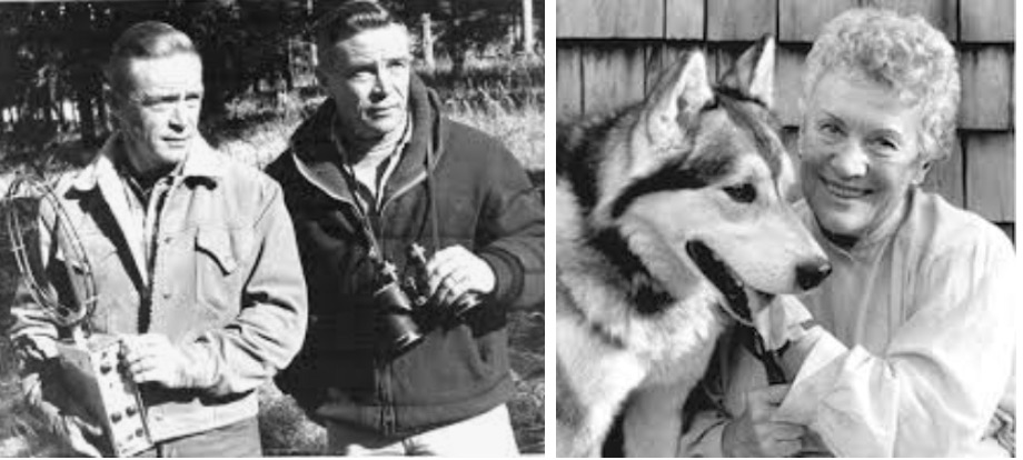 PA Environment Digest Blog: Craighead House Being Reborn Into Nature ...