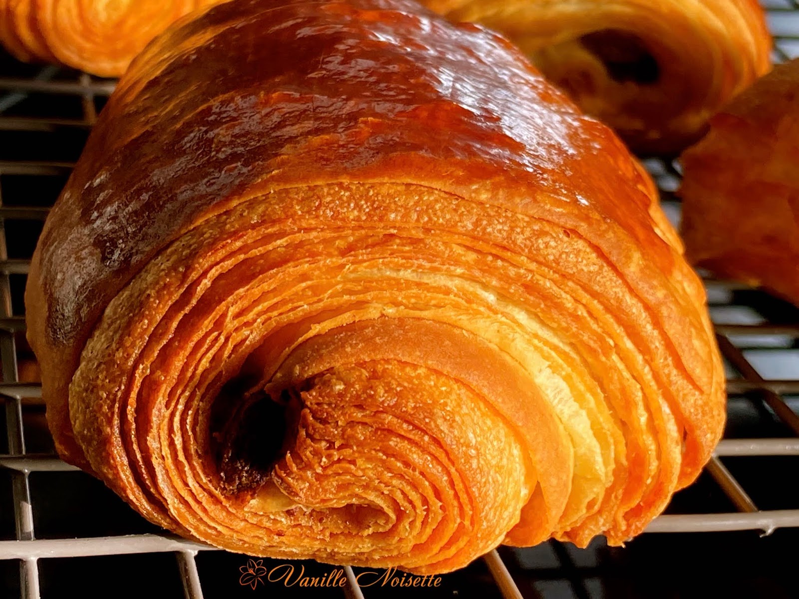 Vanille Noisette : VIENNOISERIES DE FERRANDI, CROISSANTS ET PAINS AU ...