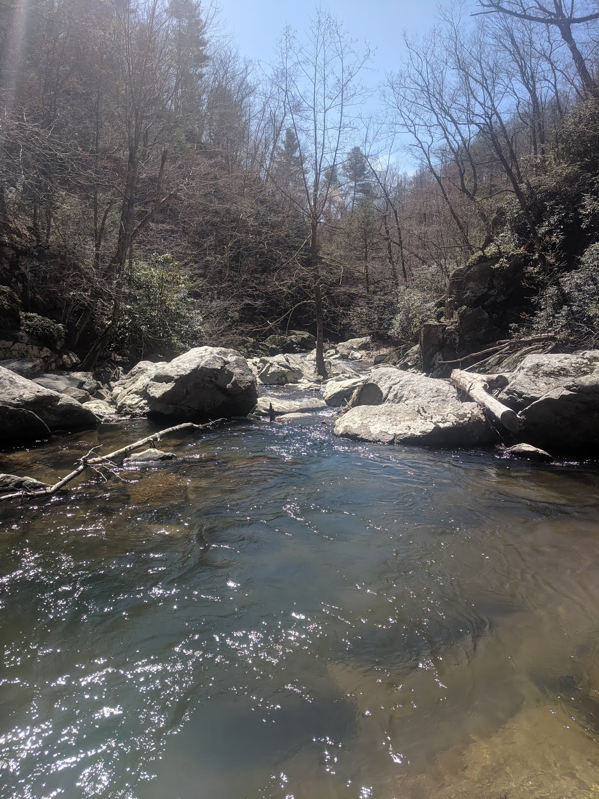 The Hiking Hokie: Bent Mountain Falls/Bottom Creek Gorge