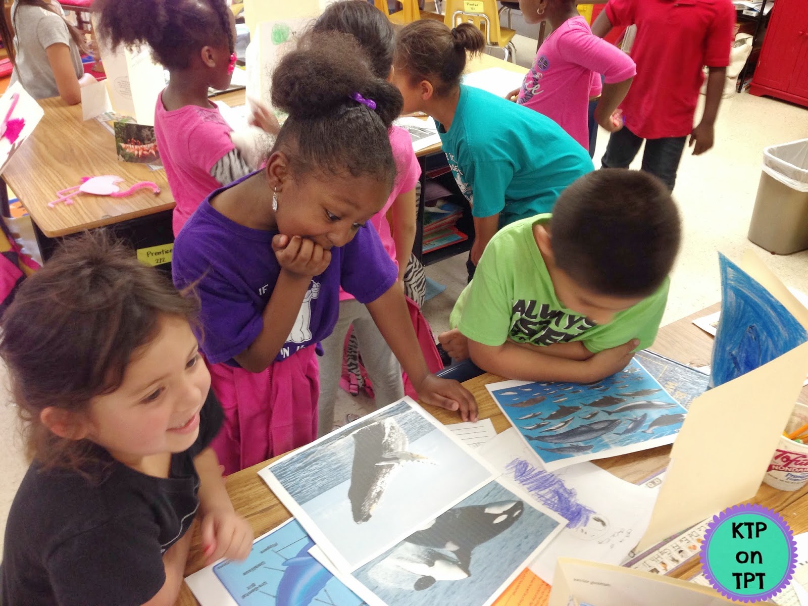 Keep Teaching and Planning!: Animal Research Projects!