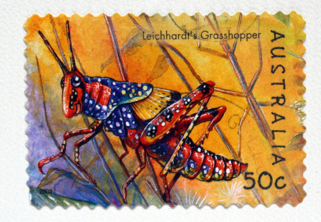 Mail Adventures: Sunday Stamps | I for Insects