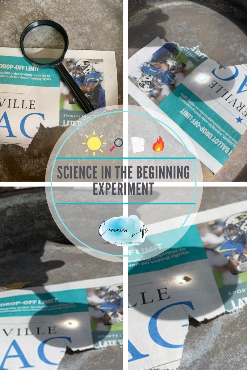 Cummins Life: Science in the Beginning Set Review {Timberdoodle 1st ...
