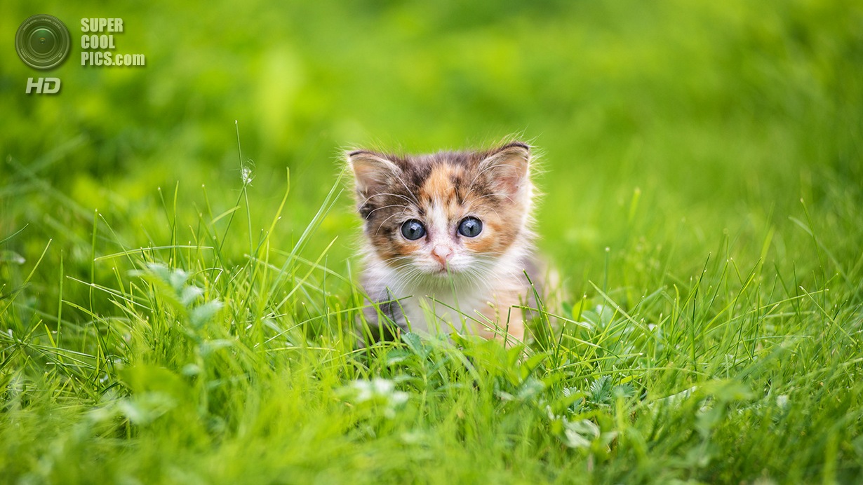 Beautiful World : Today's Collection of Amazing, Beautiful and Funny Pics