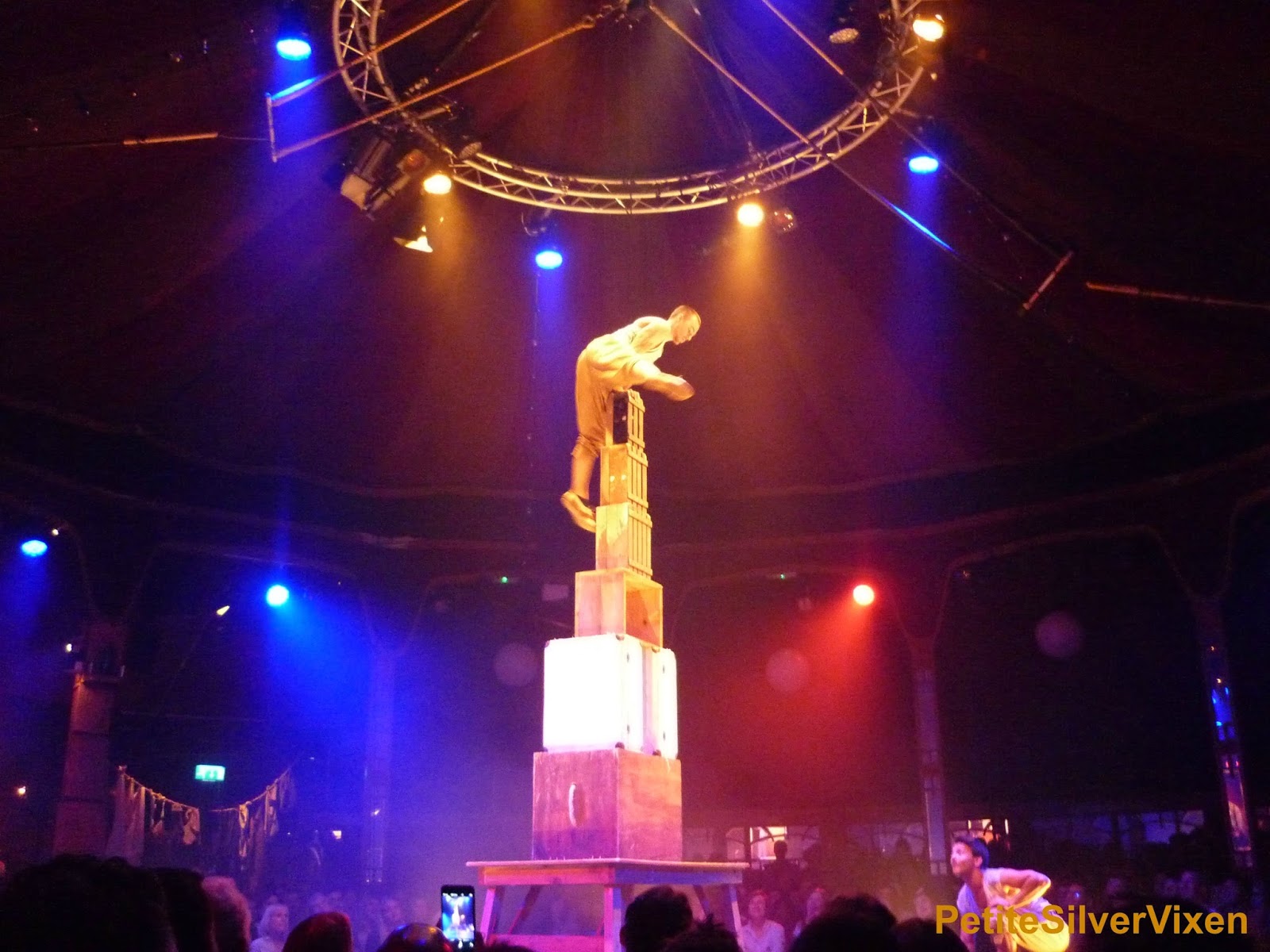 Circle Dress goes to the Circus & Cabaret - Petite Silver Vixen