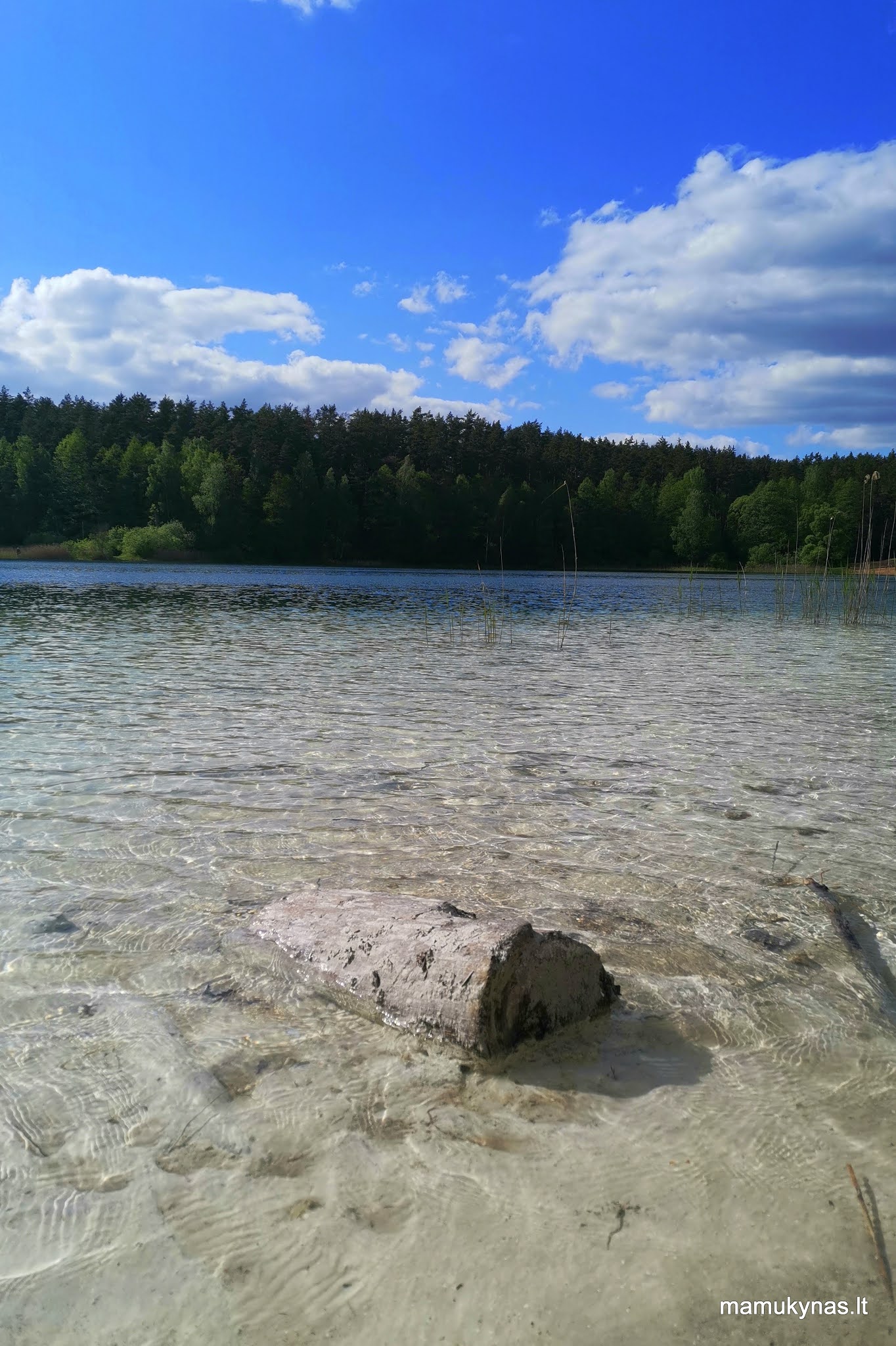 O mes jau ten buvom...: Natūralus gamtos SPA aplink Gėlos ežerą (6 km ...