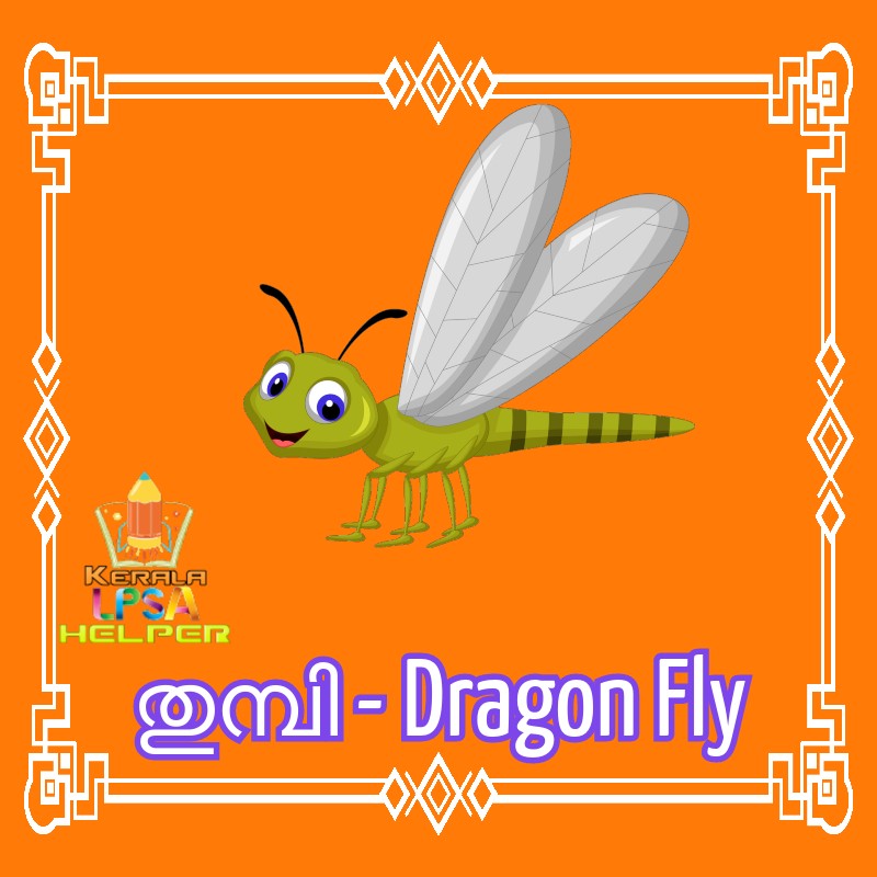 Creatures Picture Cards - Kerala LPSA Helper (LPSAH)