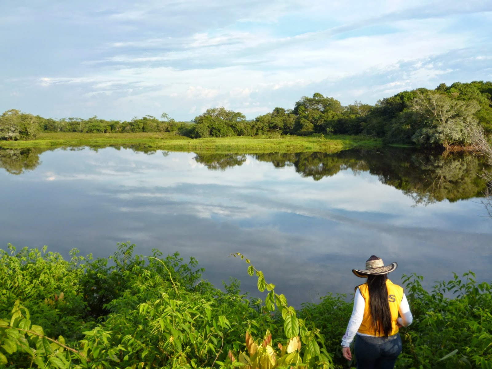 Conoce a cimitarra: CIENAGAS