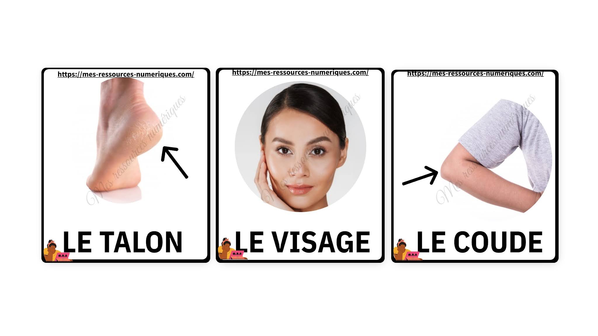 TÉLÉCHARGE CARTES NOMENCLATURE - LES PARTIES DU CORPS HUMAIN - IMAGES ...