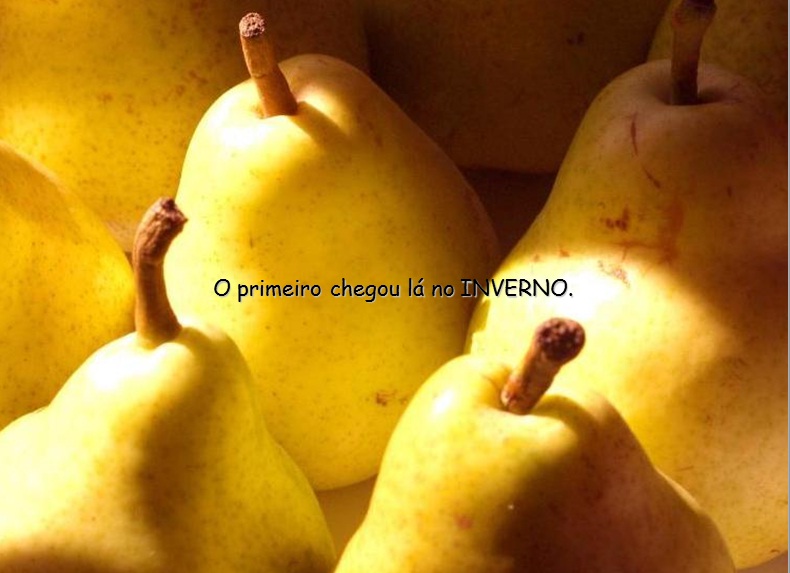 Cantinho da Professora Gina de Paula * *: Pé de pera