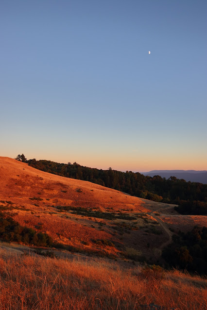 Russian Ridge Preserve
