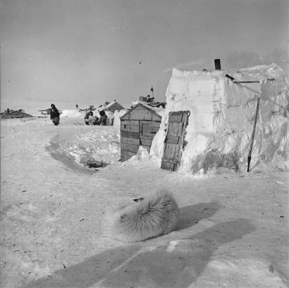 High Arctic Relocation: When The Canadian Govt Forcibly Relocated Inuit ...