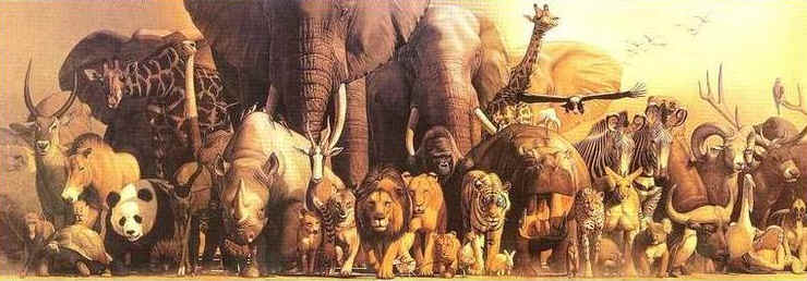 How Great Is Our GOD!: Solomon's Amazement of GOD's Animal Kingdom