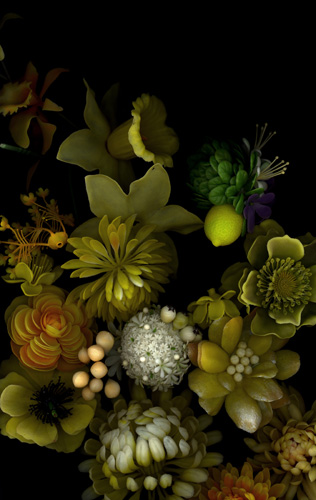 Natural CarisMa: Yedda Morrison