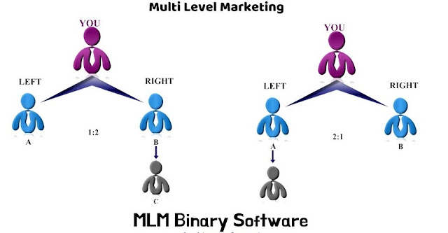 MLM Software Development