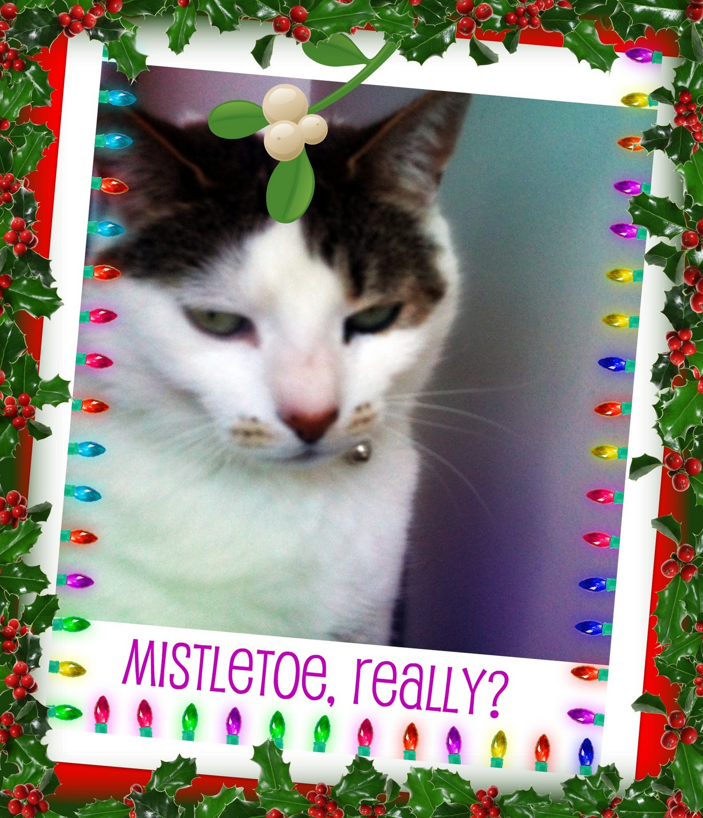 Minnie Moo The Cat Minnie Moo My Christmas Gift Wish List minnie-moo-the-cat-minnie-moo-my-christmas-gift-wish-list