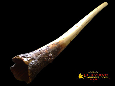 Sonidos de la Tierra Para El Alma