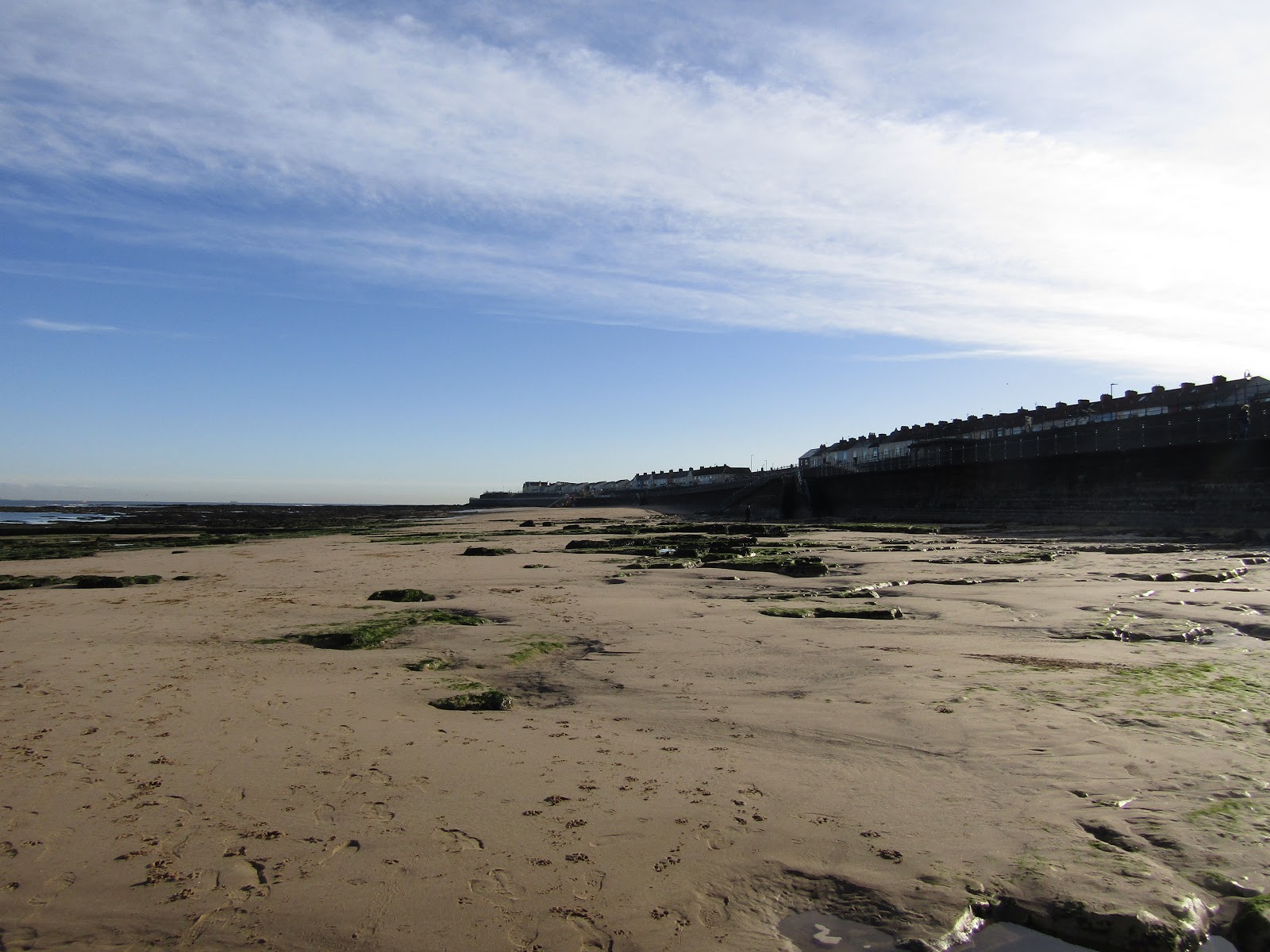 Boz North's Trail - Walking Blog: ECP - Blackhall Rocks to The Headland ...