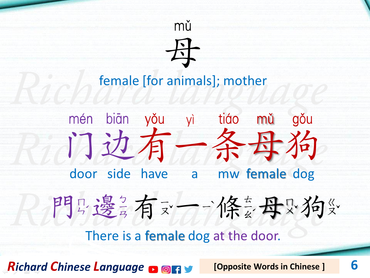 Richard Chinese: The Best Way to Learn Chinese: Opposite Chinese [1 ...