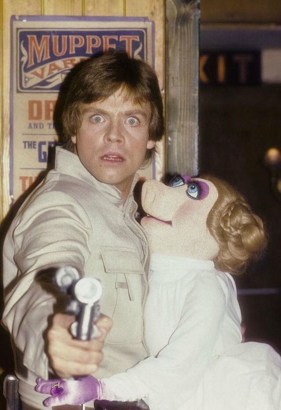 STAR WARS AFICIONADO WEBSITE: MARK'S MUPPET MINGLING! REMEMBERING 'THE ...