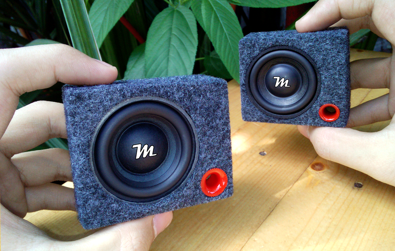 DIY Mini Subwoofer: 2019
