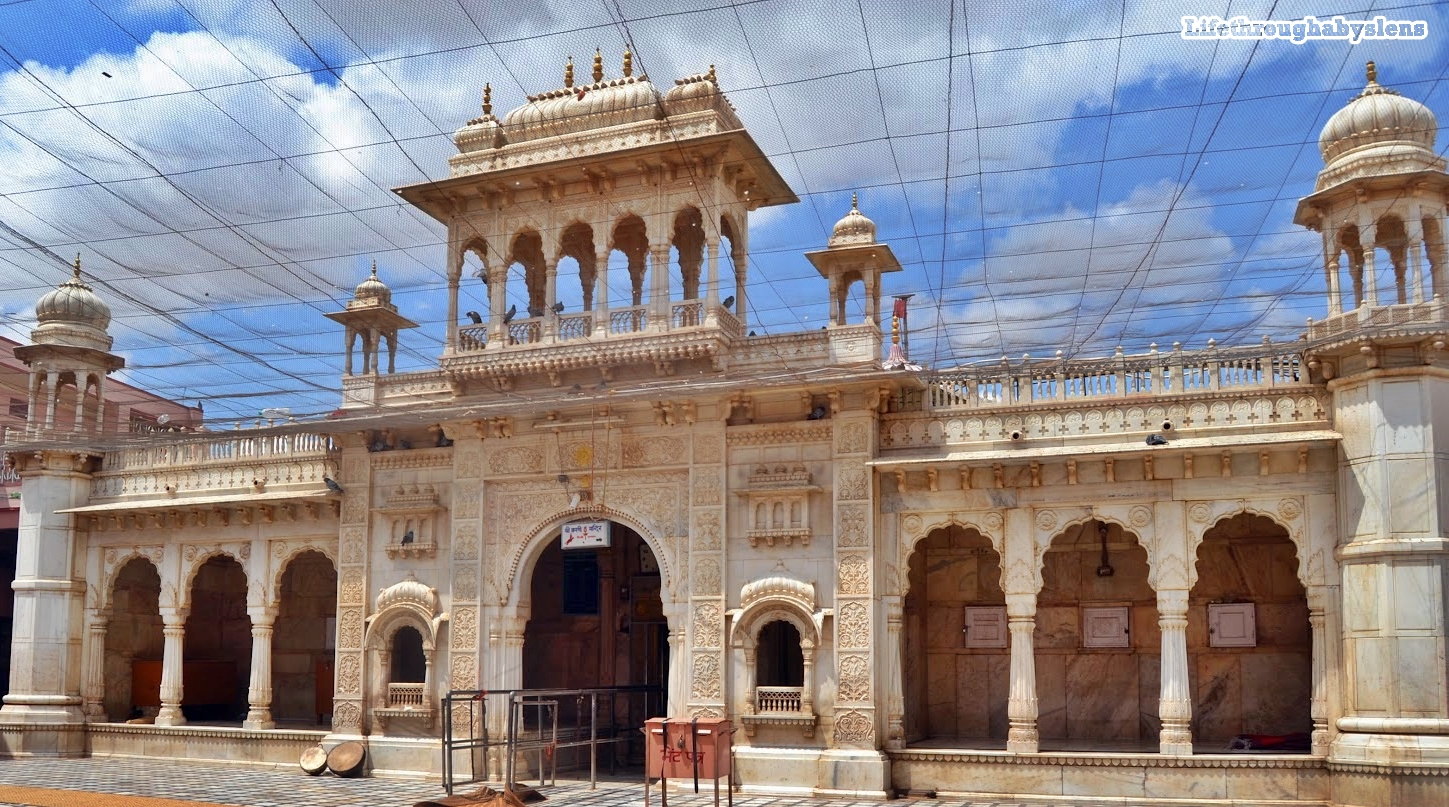 The Incredible "Rat Temple" in Rajasthan, India
