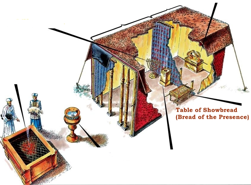 stand in the rain: November 2011