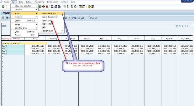 SAP FICO Central: Financial Statement Analysis by using Report Painter