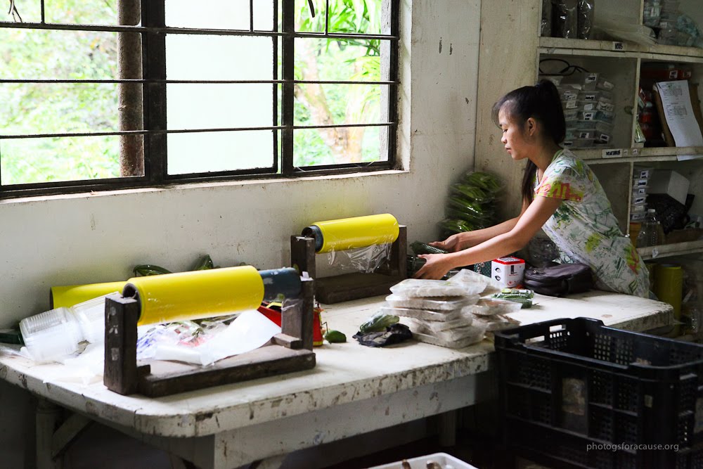 Melendres Farm || Antipolo, Rizal