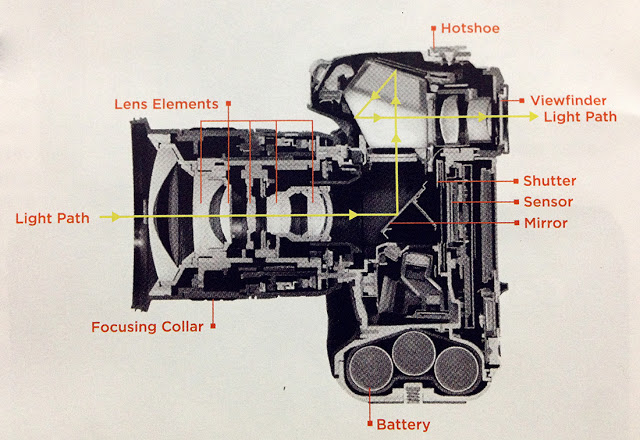 How digital cameras work