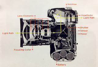 How digital cameras work