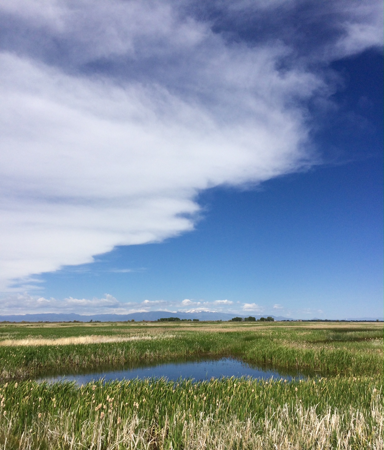 Alamosa National Wildlife Refuge Review